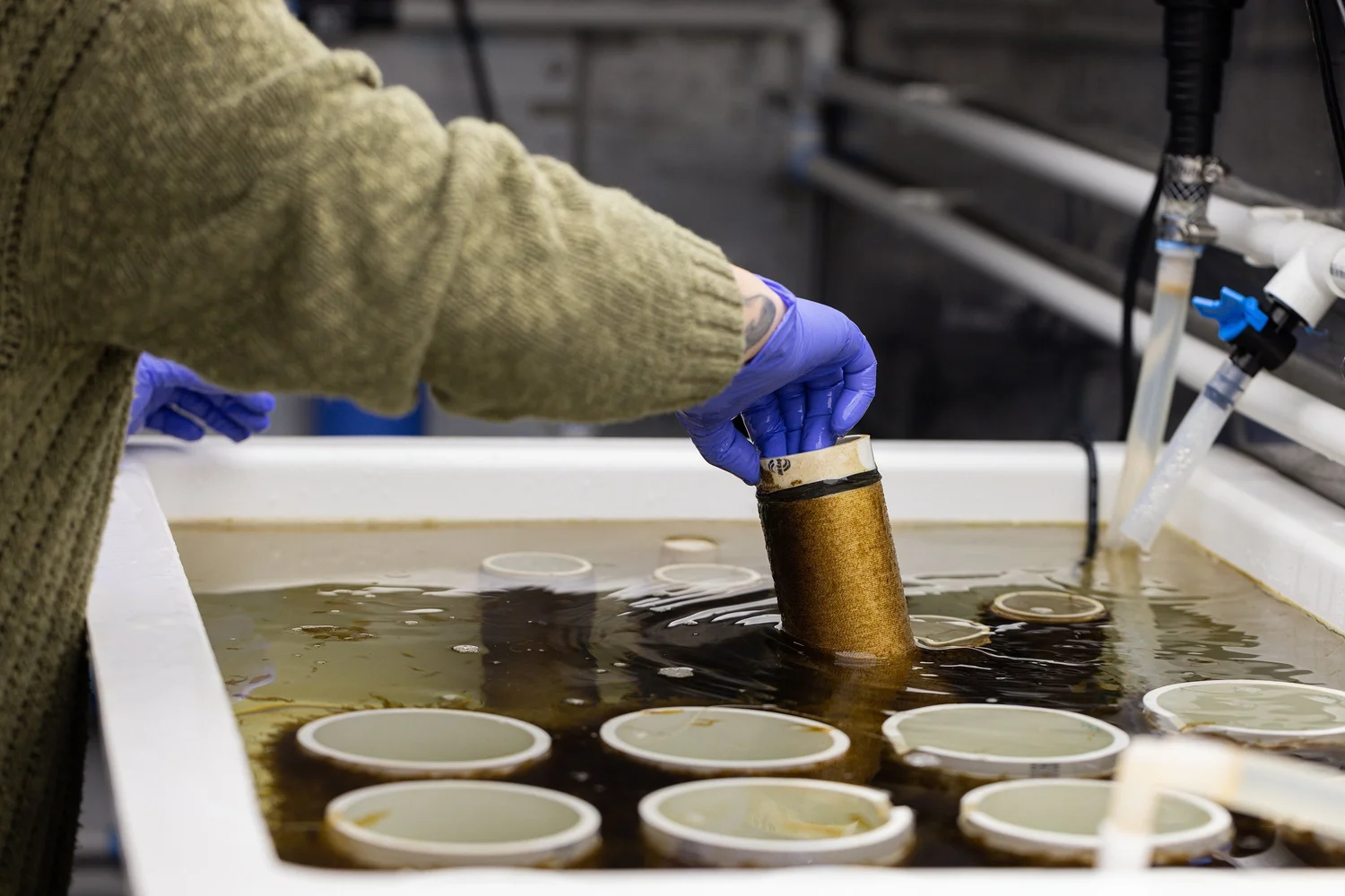 Our Approach — GreenWave