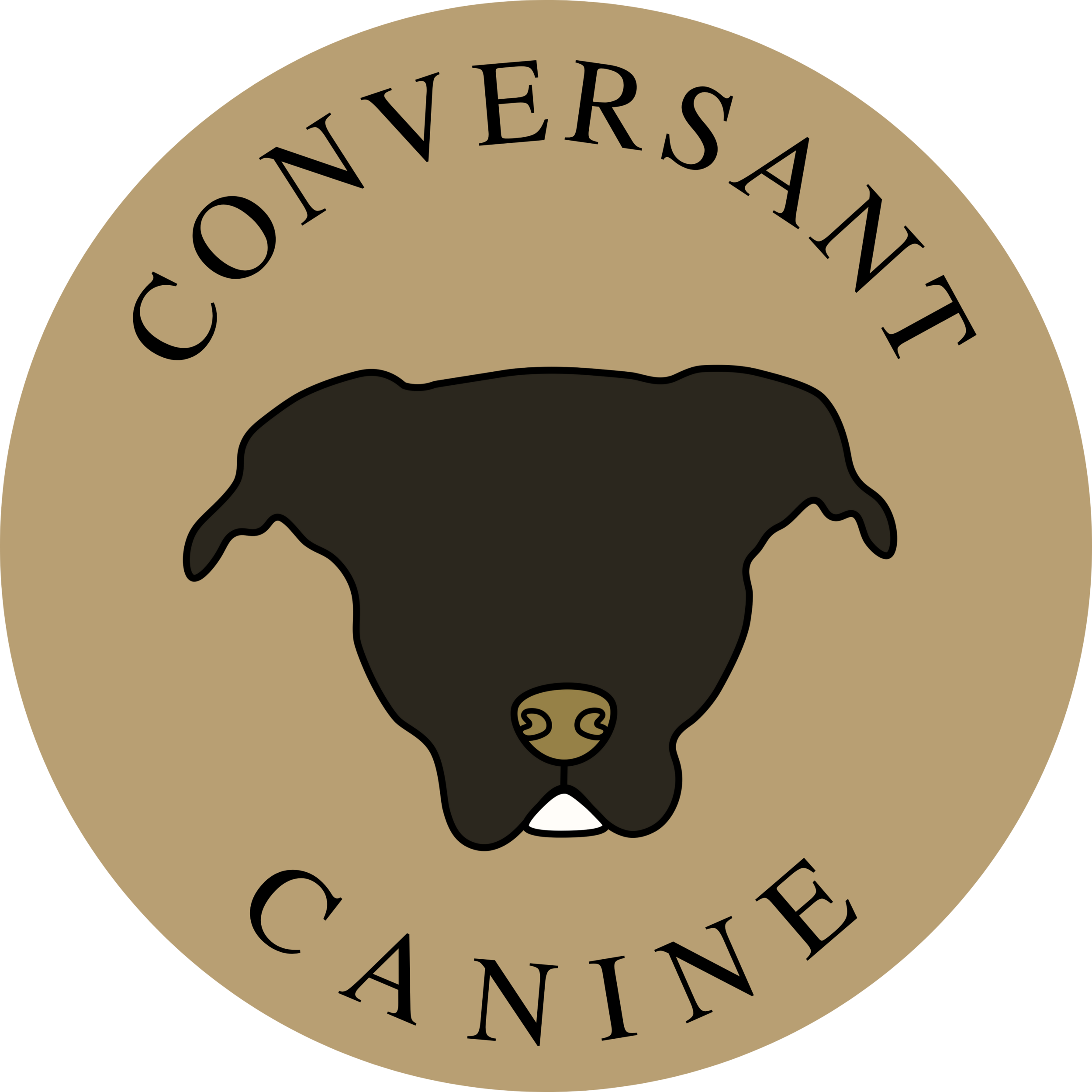 Conversant Logo
