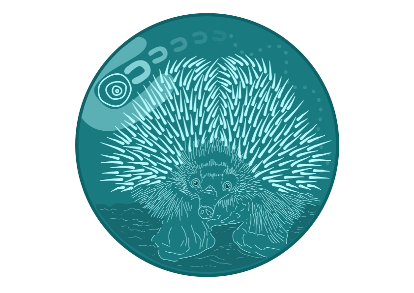 Wonky Lines Counselling