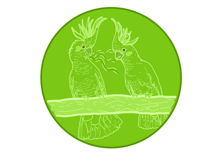 Wonky Lines Counselling