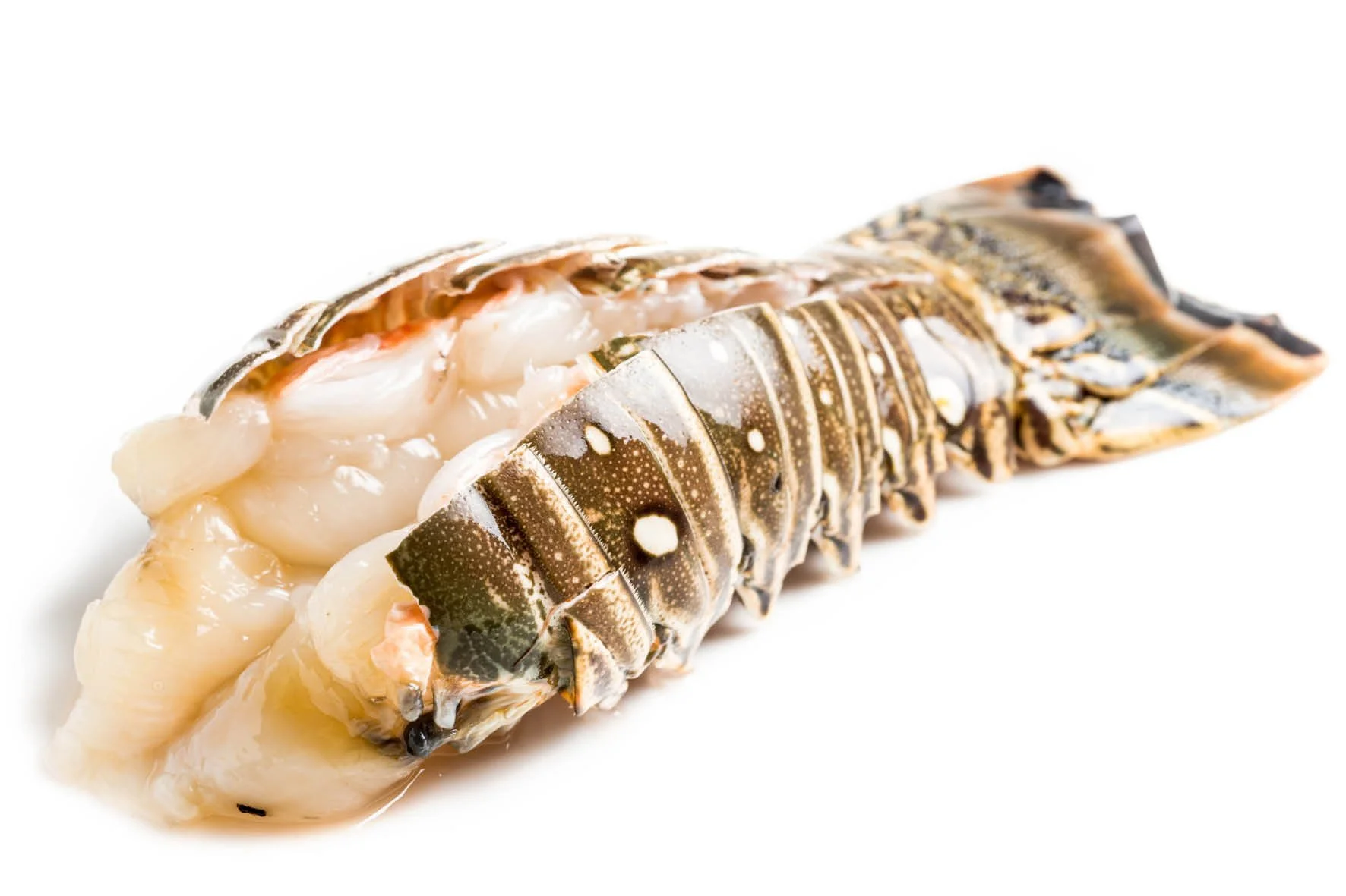 Phil's Plaice
