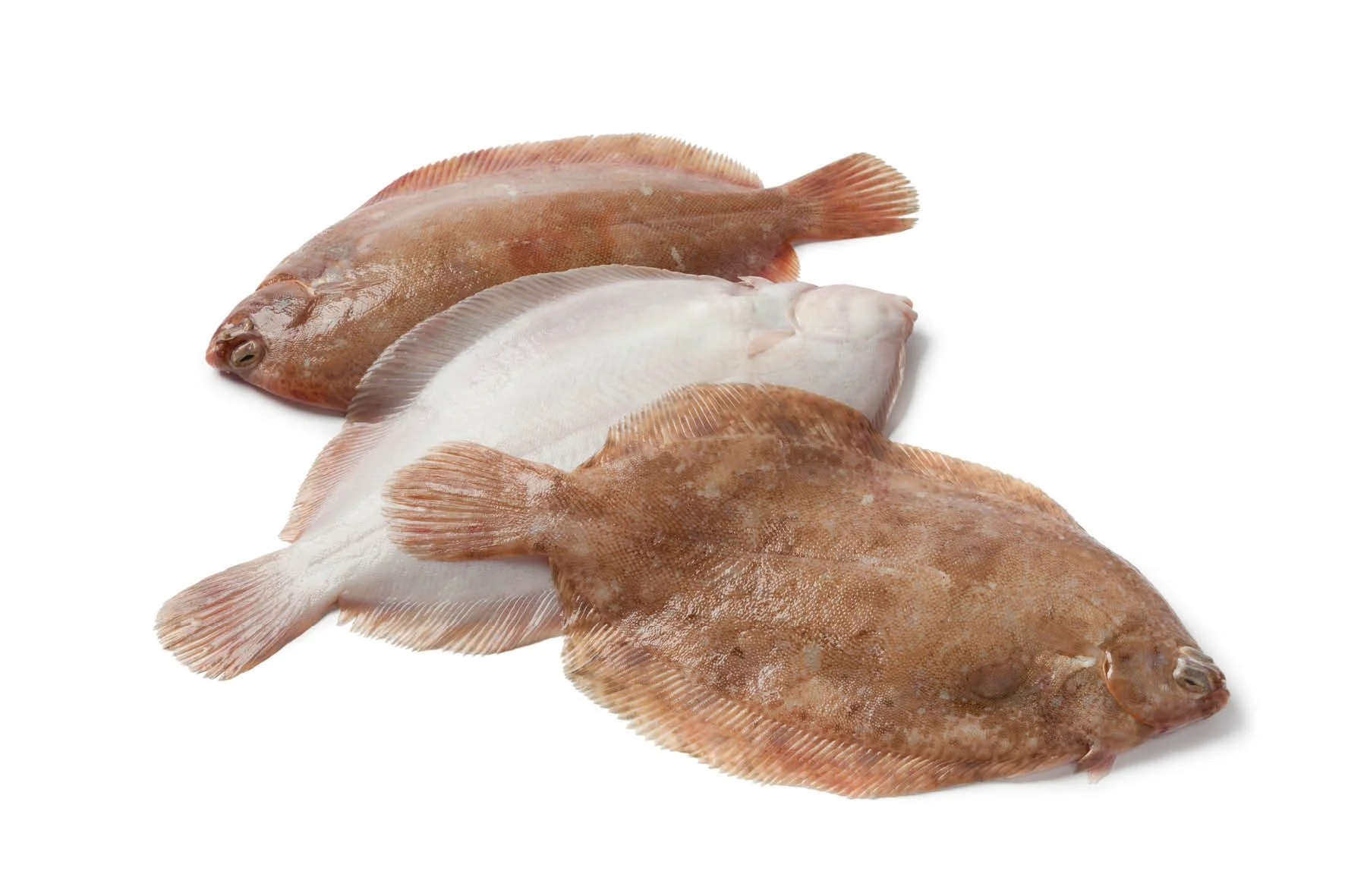 Phil's Plaice