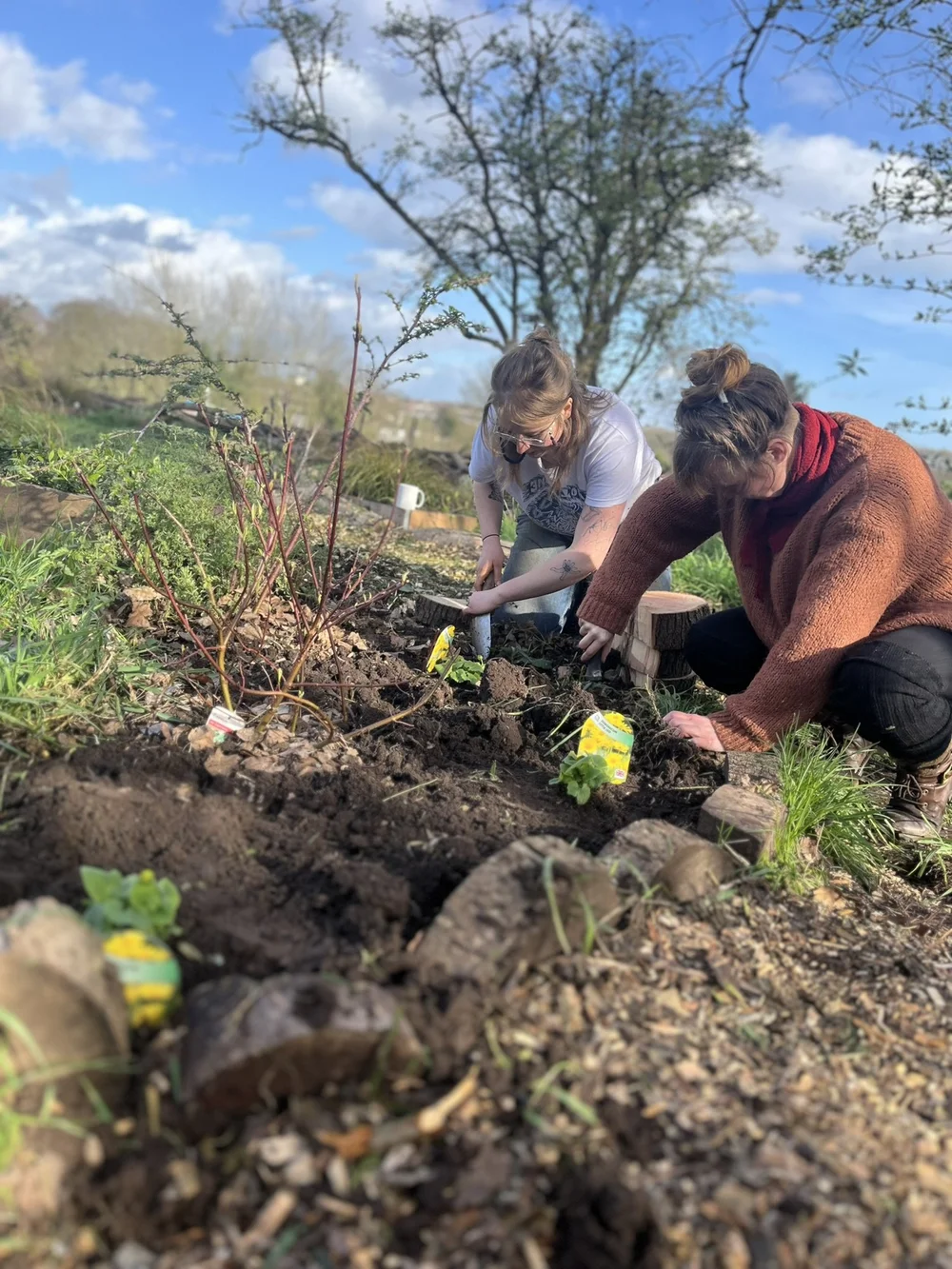 Bristol Tree Craft | Connecting through craft