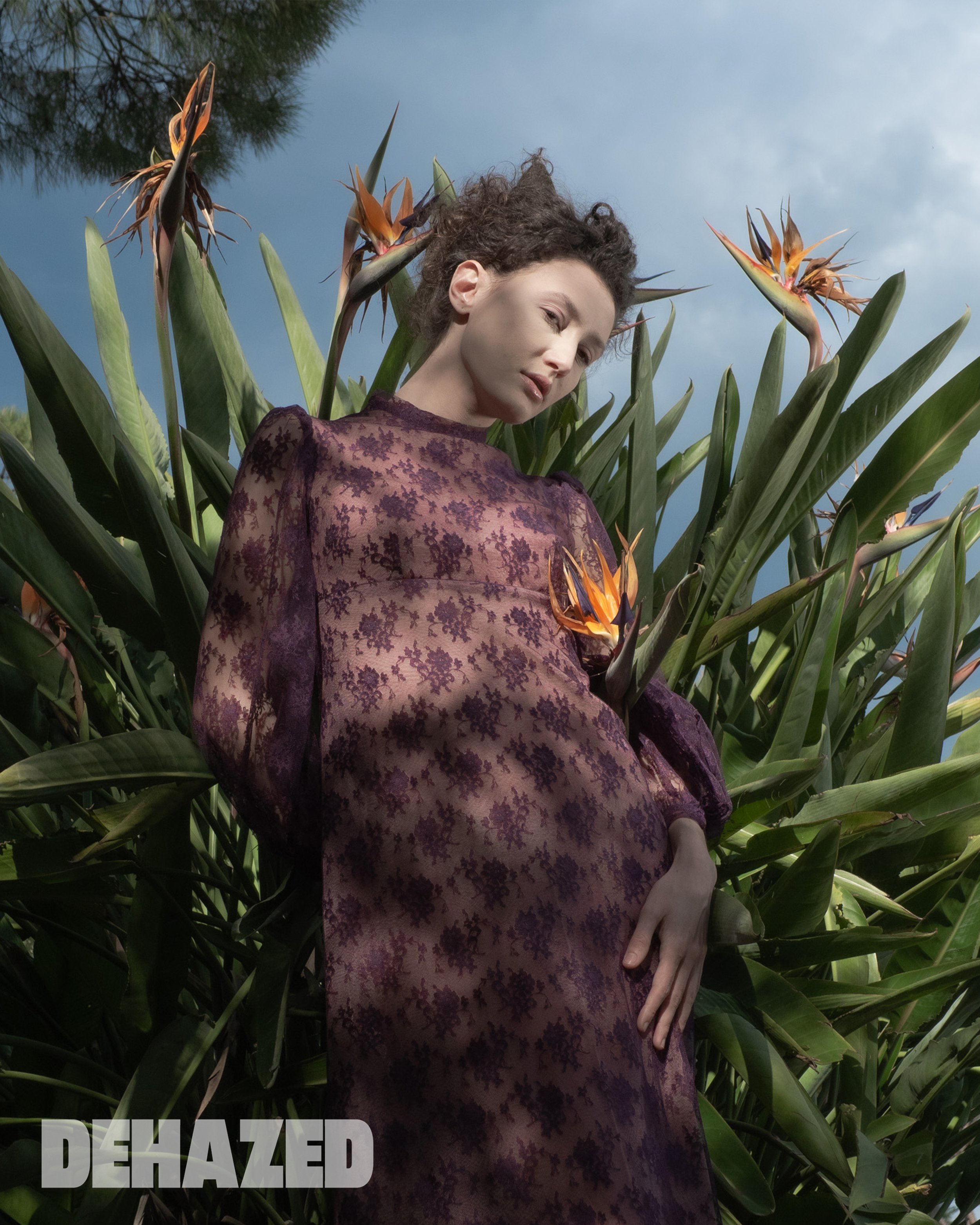 DECEMBER — DEHAZED