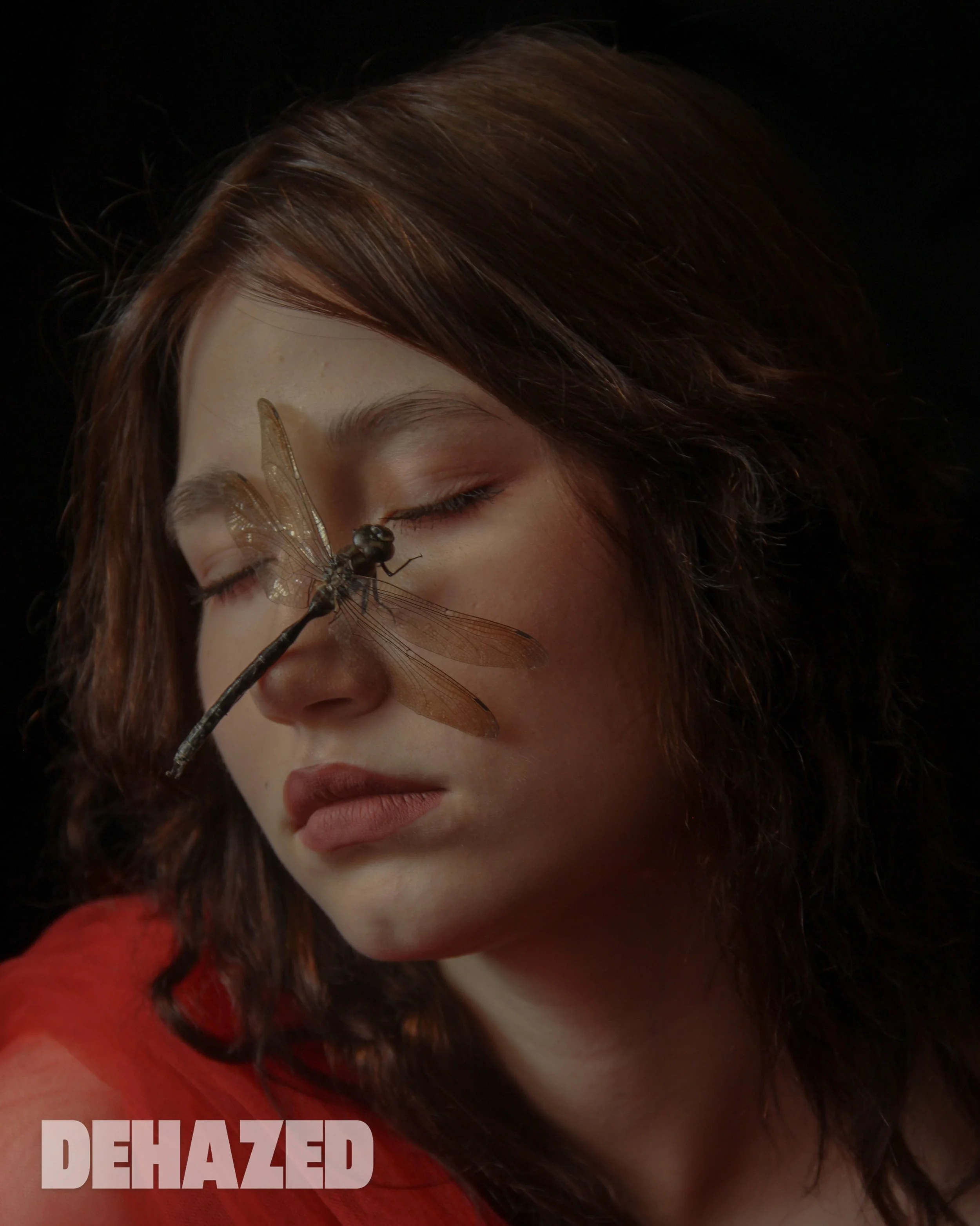 DECEMBER — DEHAZED