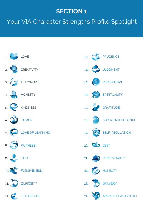 VIA Character Strengths Assessment — Coaching, Mentoring, Consulting