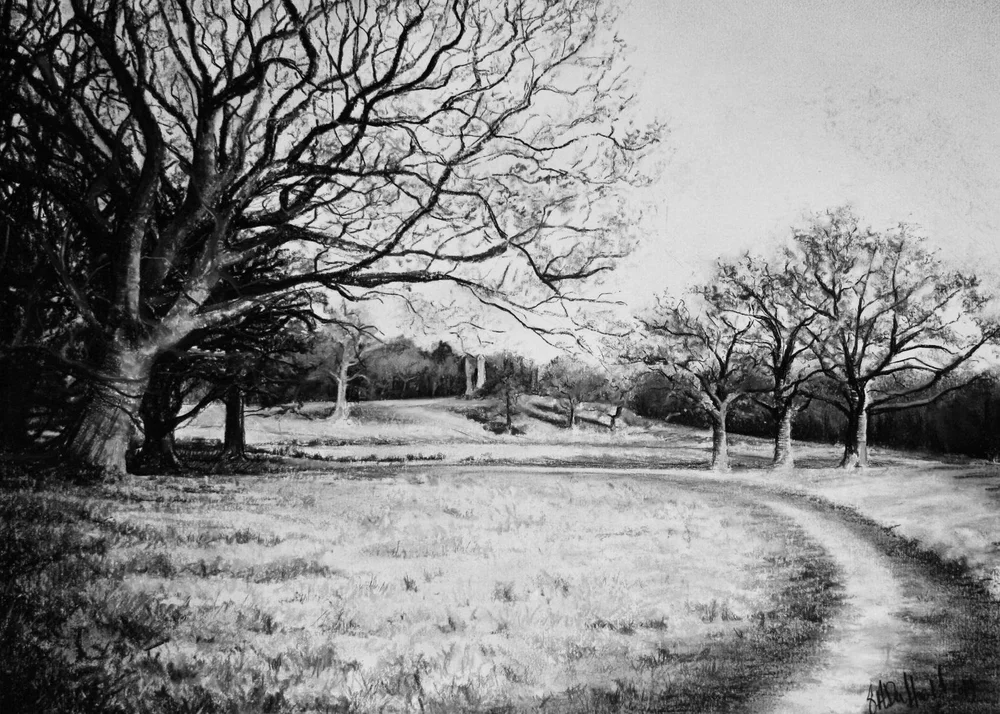 Shop All Artworks — Sarah Duffield II Artist & Teacher