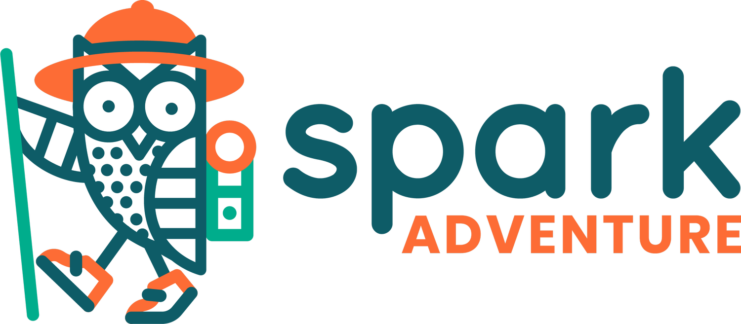 Summer Program — MPSF