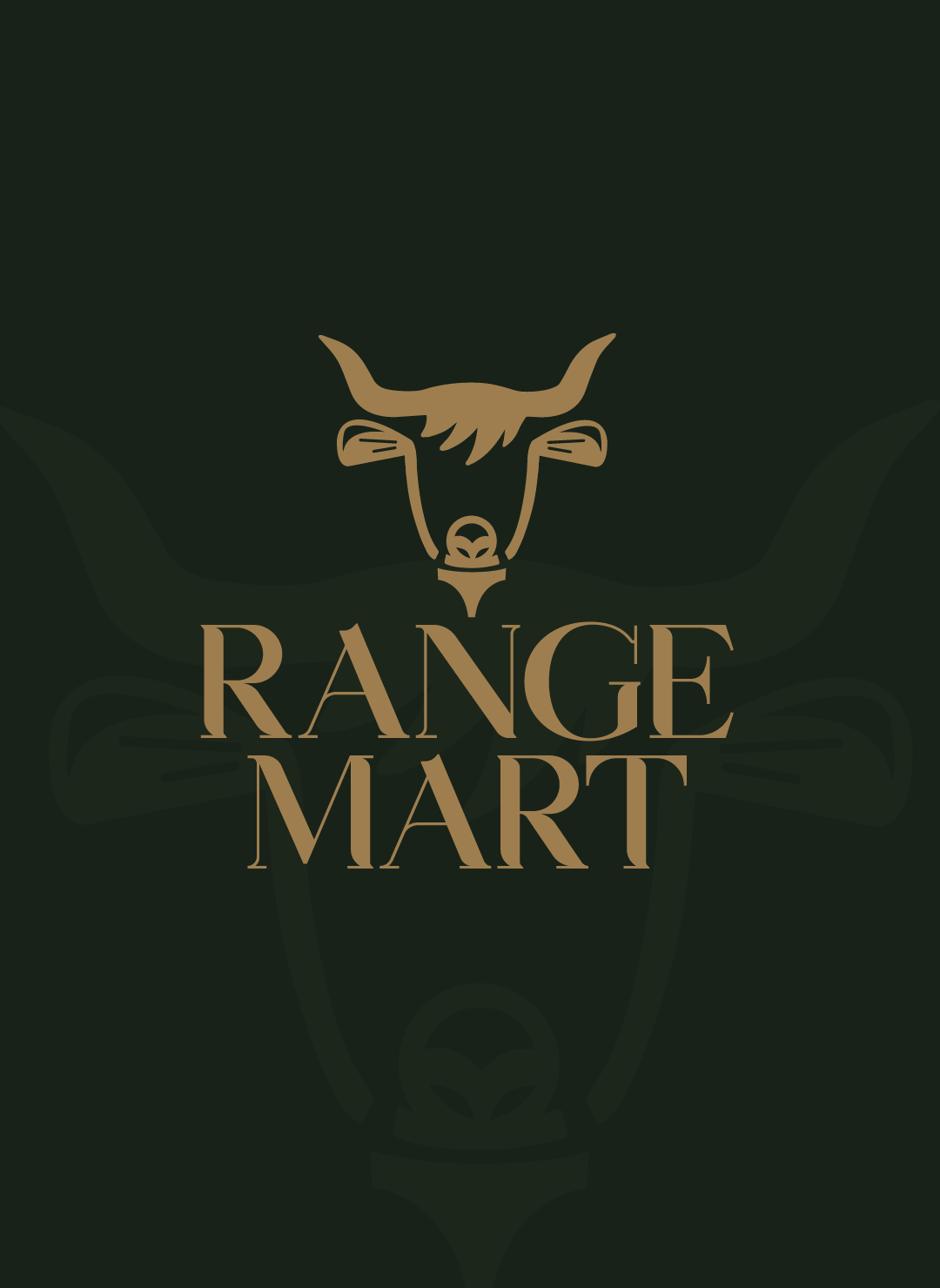 Custom Business Branding and Website Design for Small Businesses ...