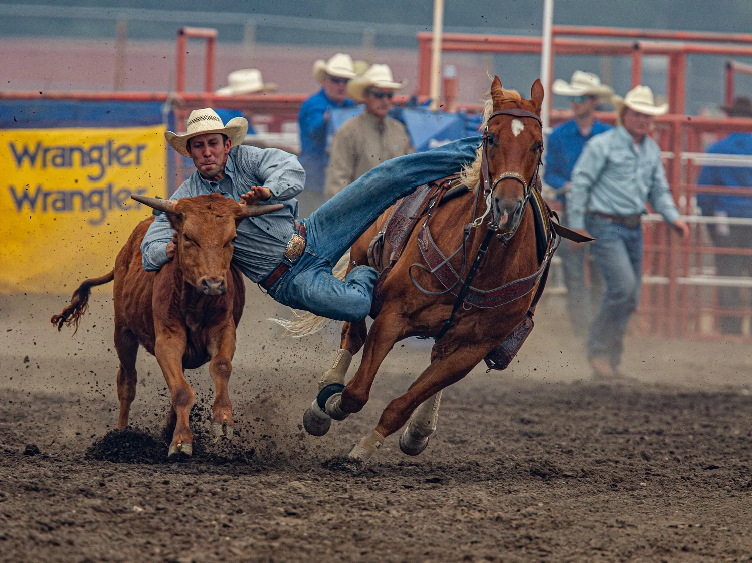 Ray Watkins Photography