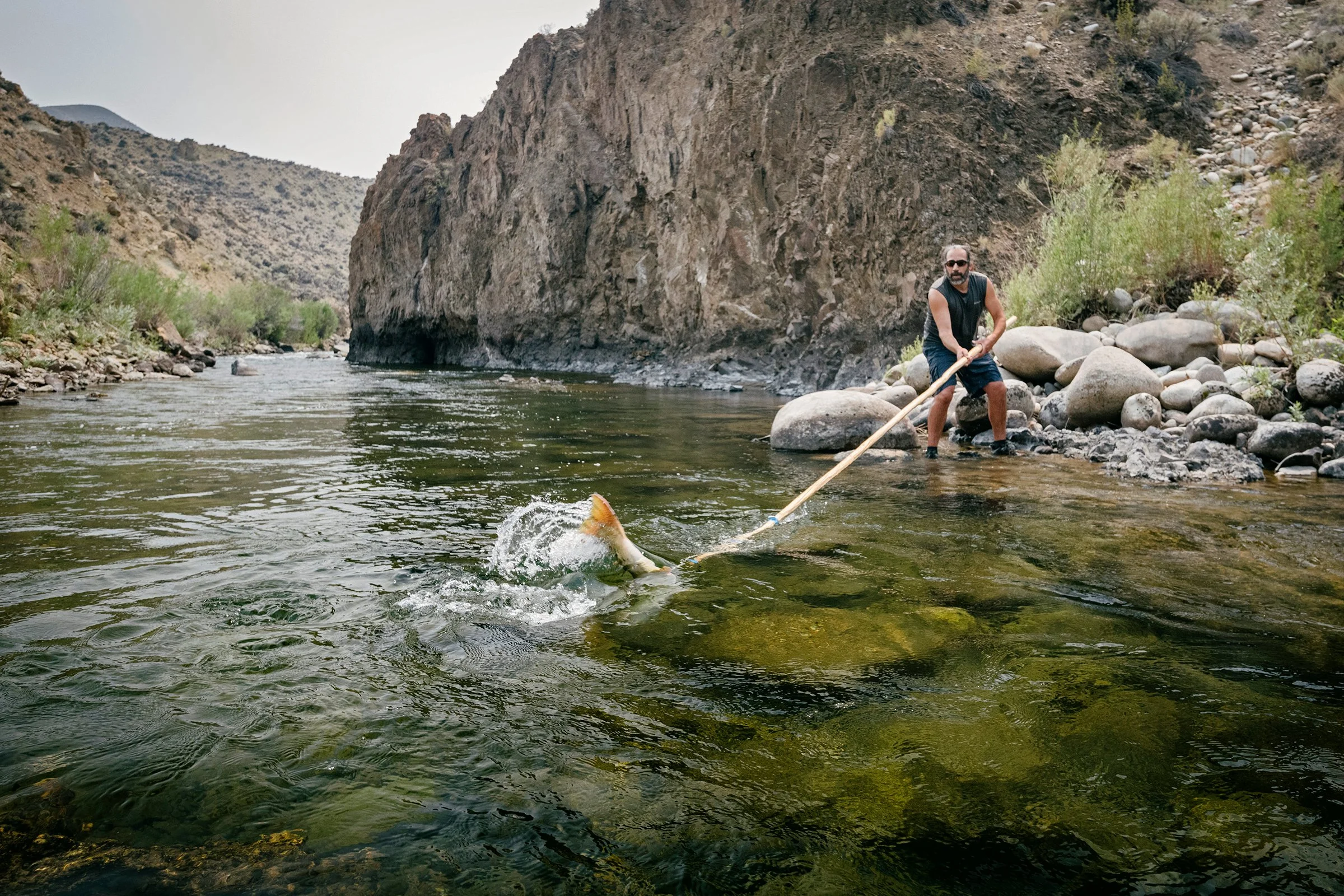 Save the Lower Snake River