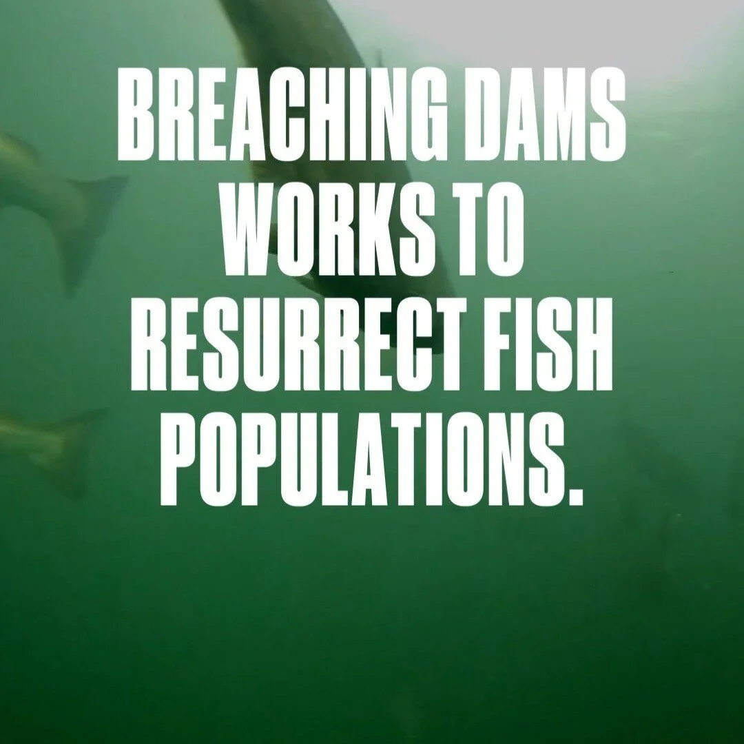 Save the Lower Snake River