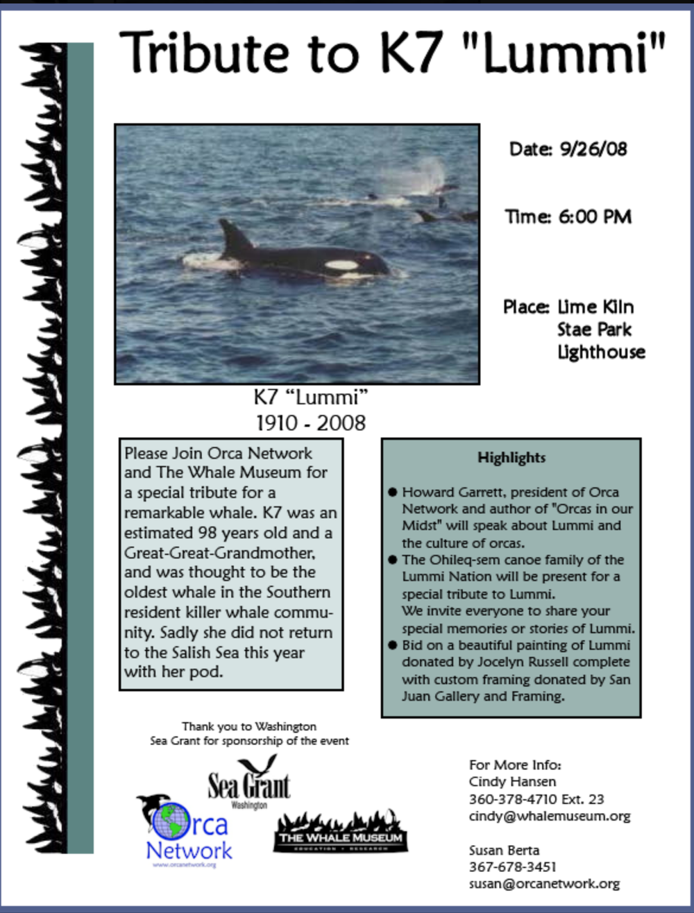 Whale Tales - K7 “Lummi” — Orca Network