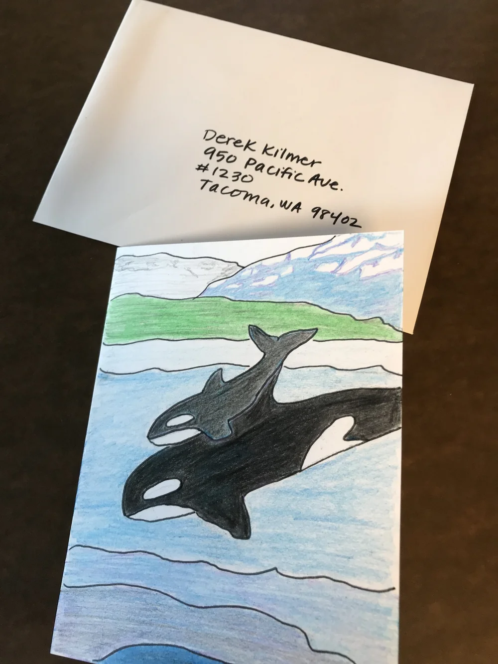Earth Sky+Water Card Boxsets in Five Styles — Orca Network