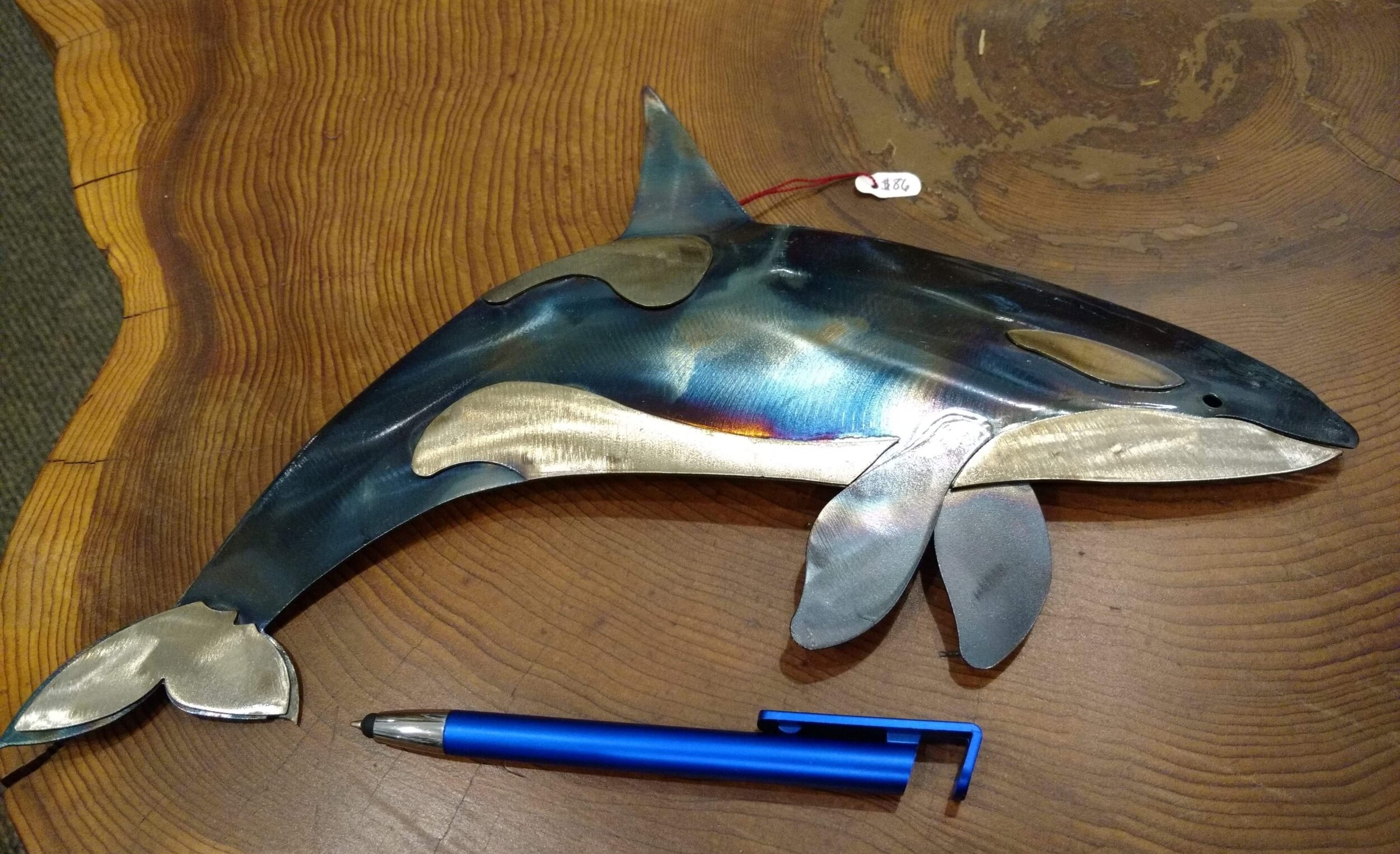 Pacific Northwest Marine Mammal Field Guide — Orca Network