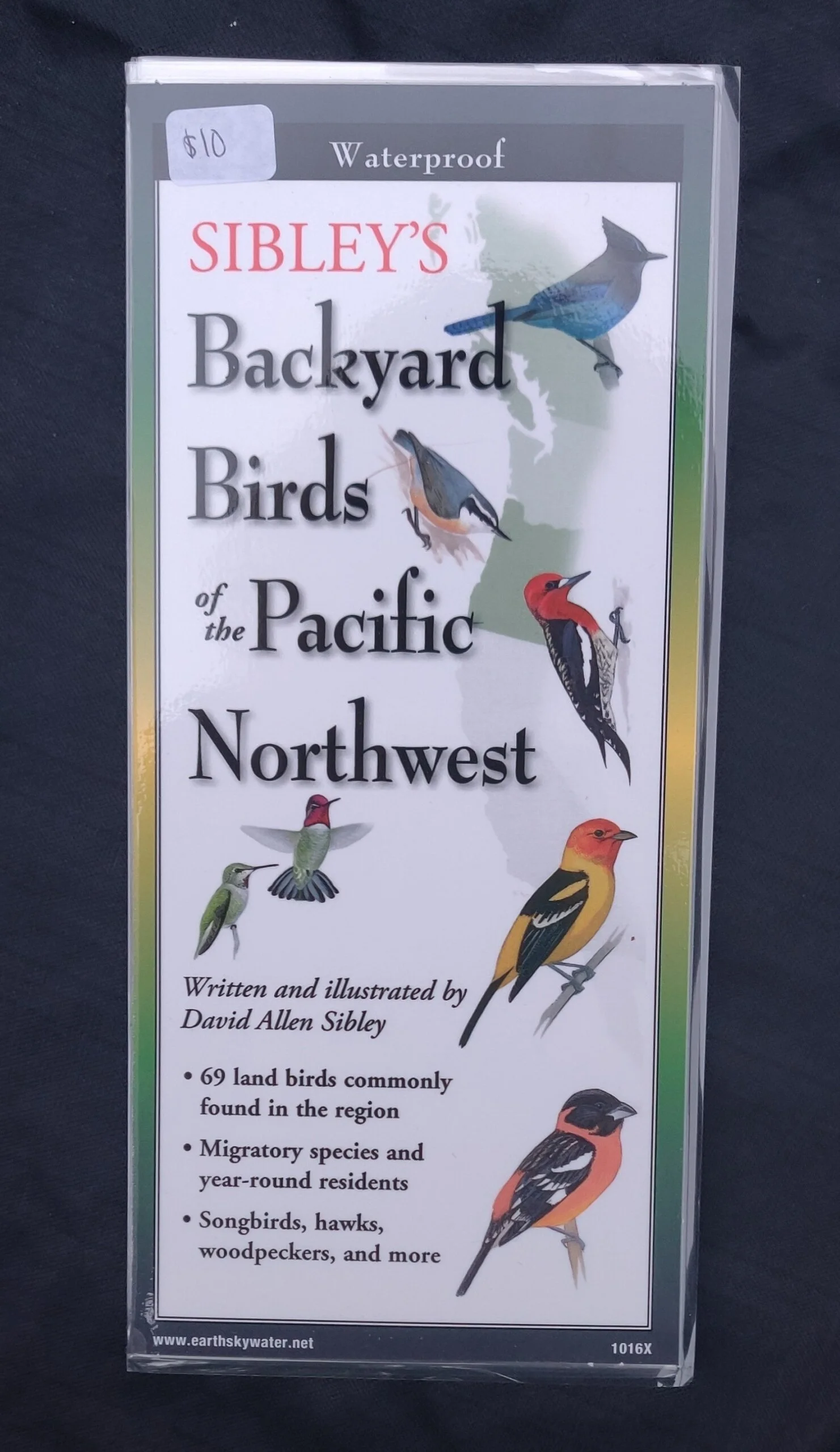 Animals of the Pacific Northwest Guide Posters-New Designs — Orca Network