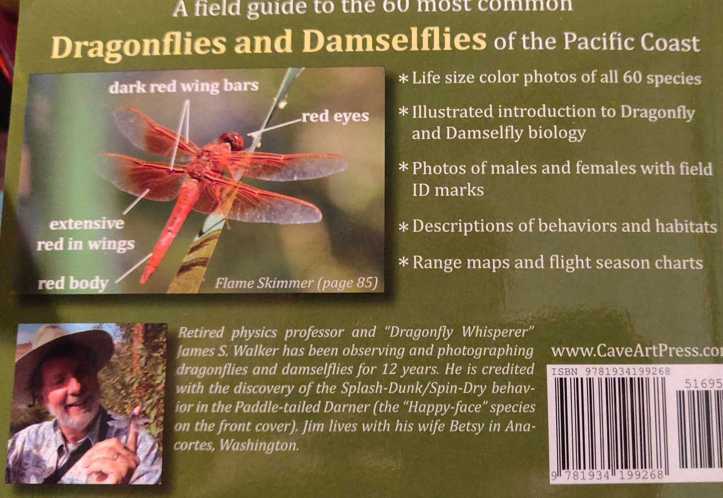 EZ Guide to Seaweeds of the Salish Sea — Orca Network