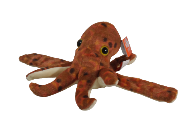 Octopus from Wild Republic — Orca Network