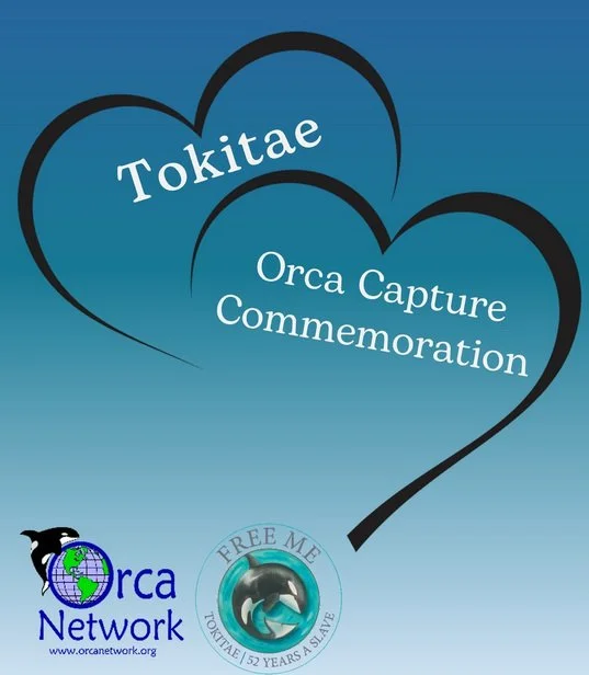 Events — Orca Network