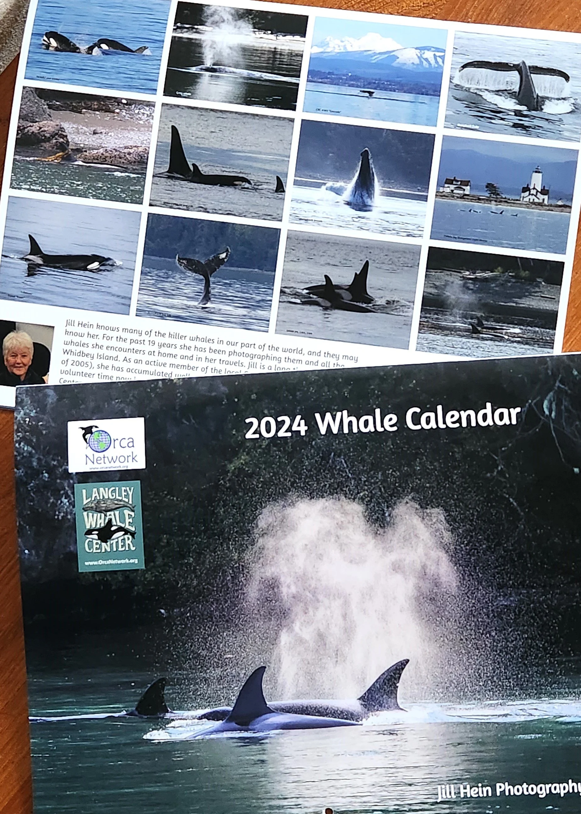 Goodnight Little Orcas: A Counting Book — Orca Network