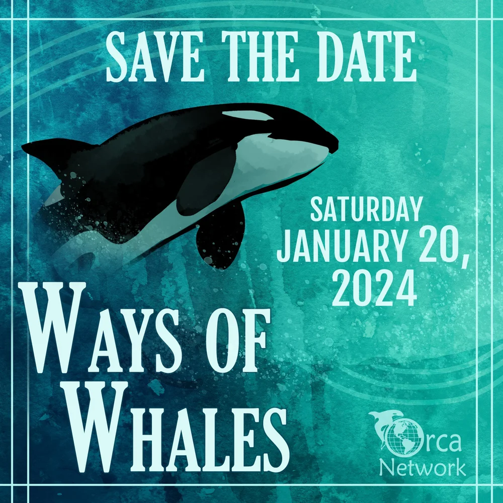 Events — Orca Network