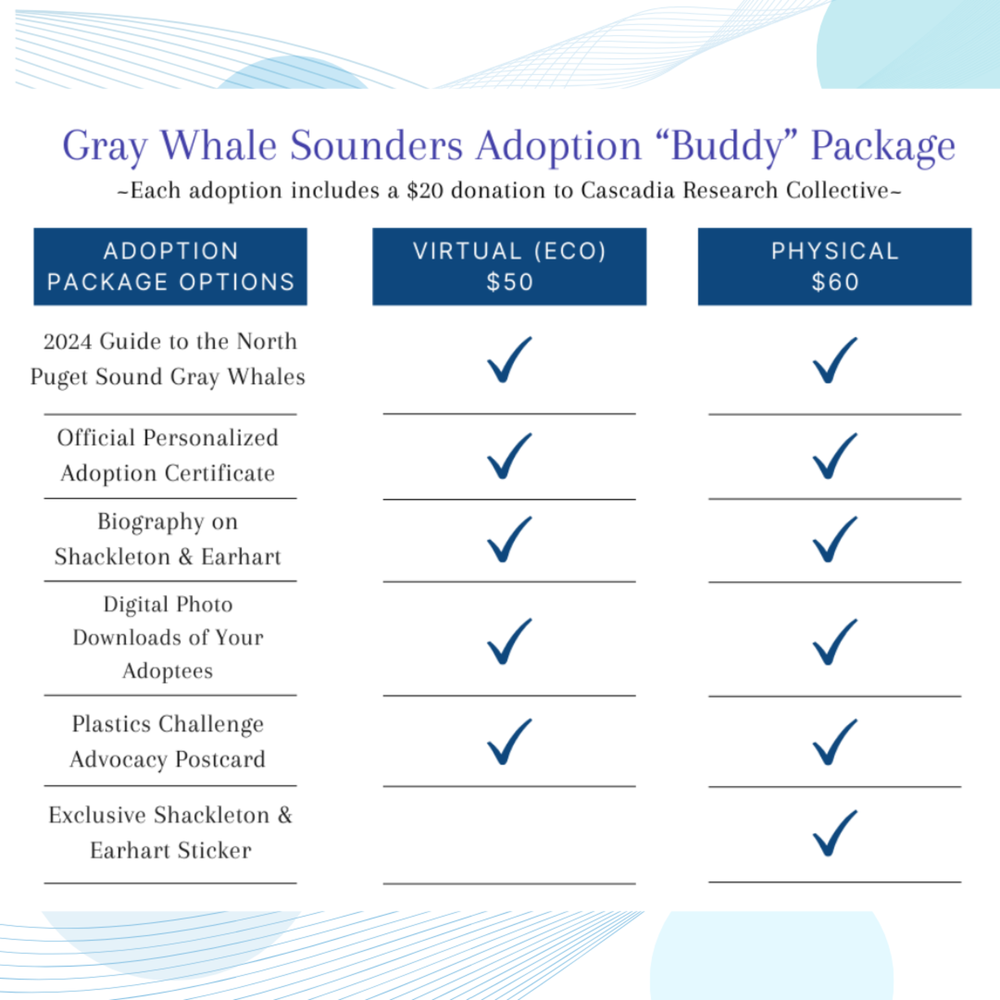 California Coast Whale and Dolphin Behaviors ID Guide — Orca Network