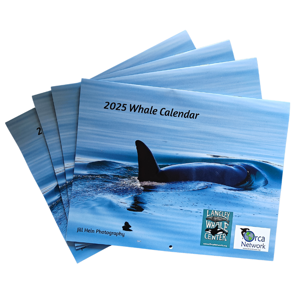 Webshop — Orca Network