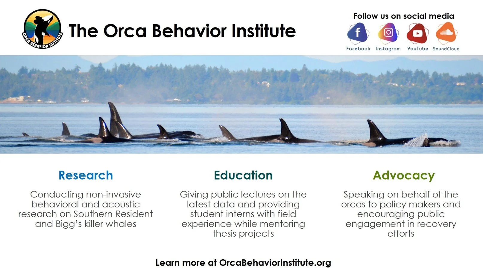 Ways of Whales 2025 - Learning Lobby — Orca Network
