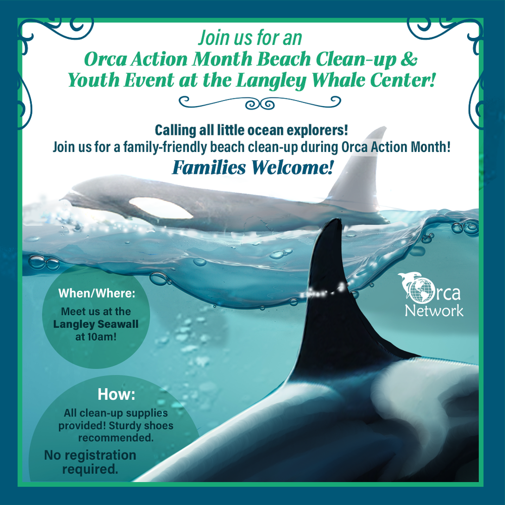 Events — Orca Network