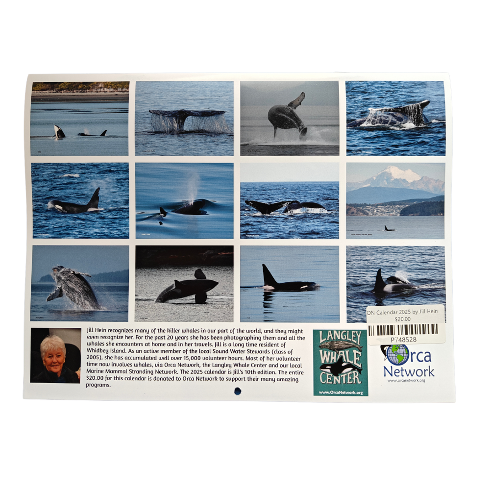 Webshop — Orca Network