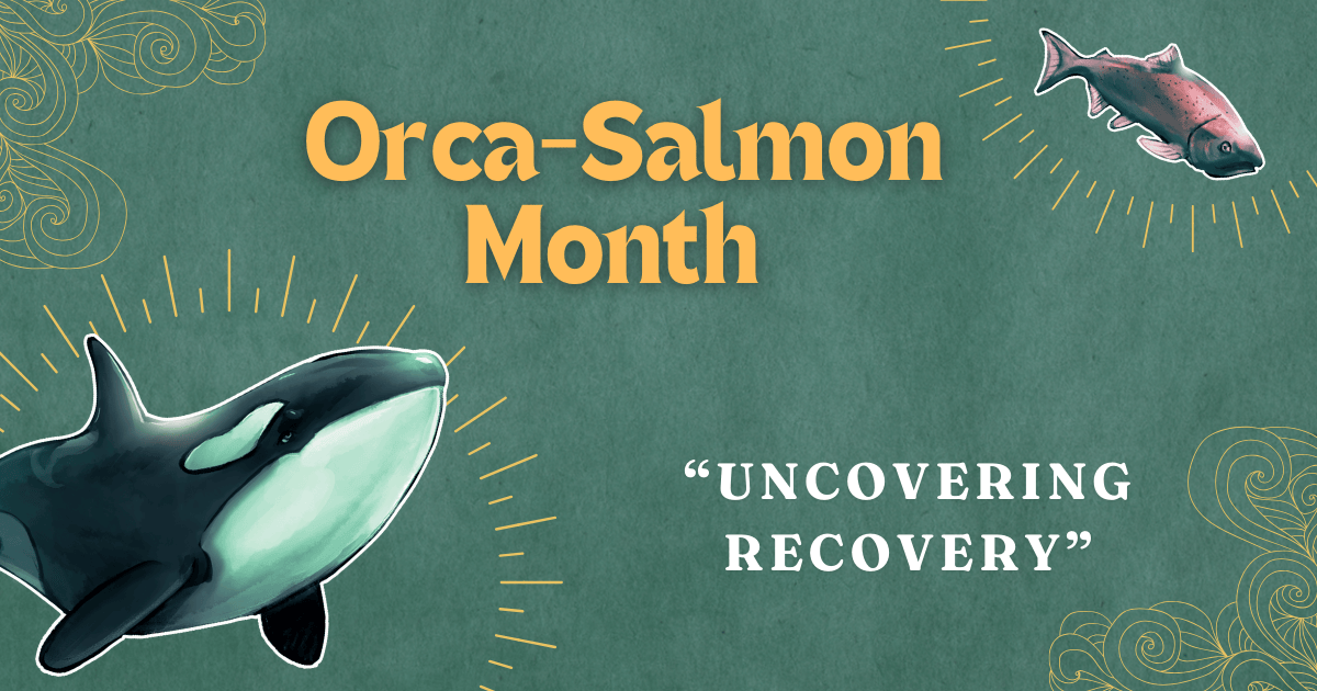 Events — Orca Network