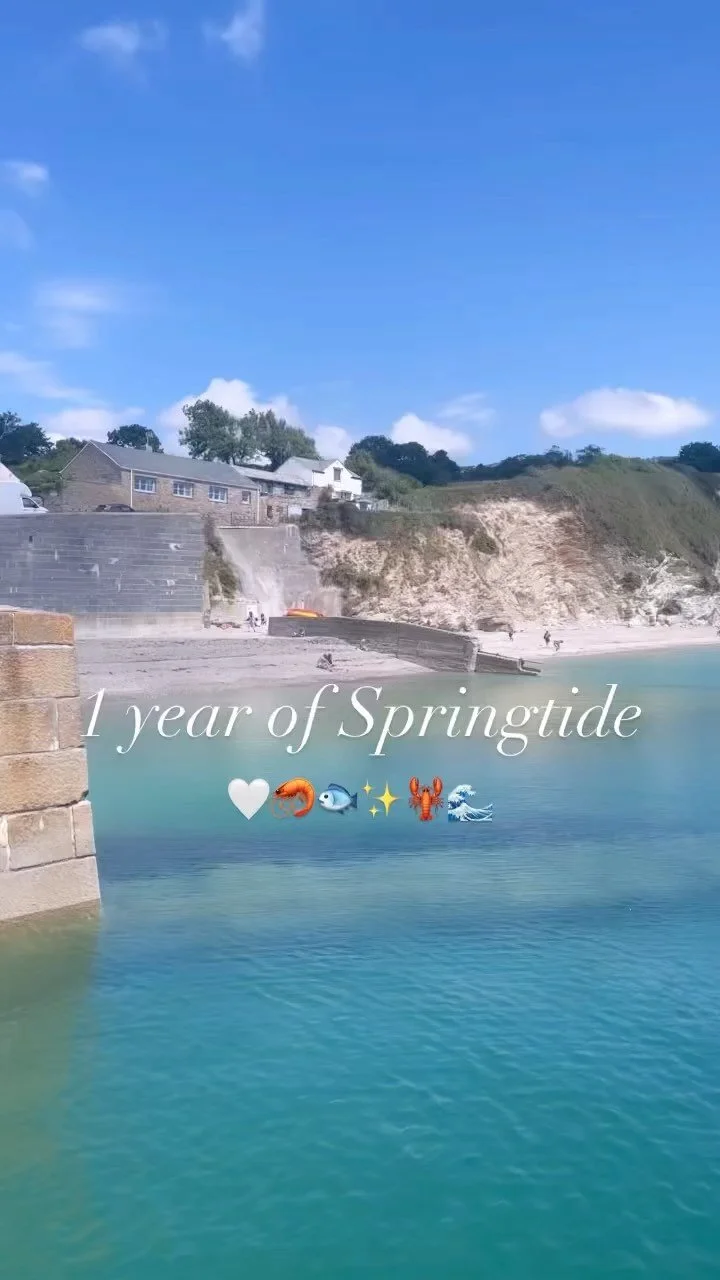 Springtide Charlestown
