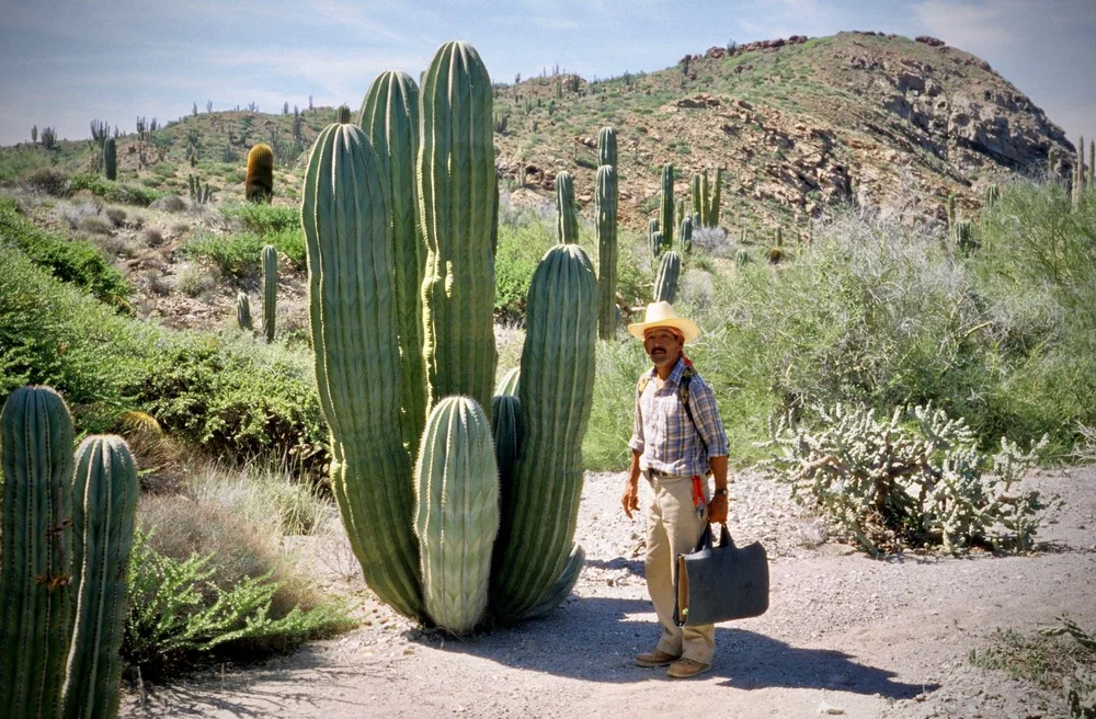 Jon rebman Conserving Rare plants in baja — Slow Baja