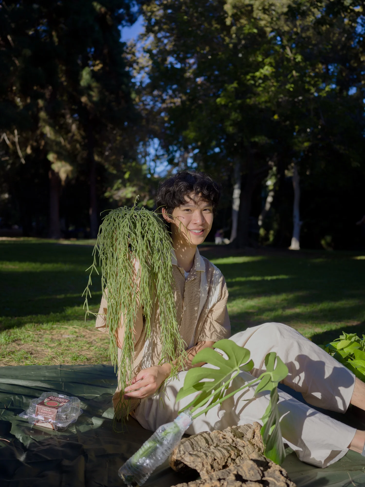 about — benjiplant