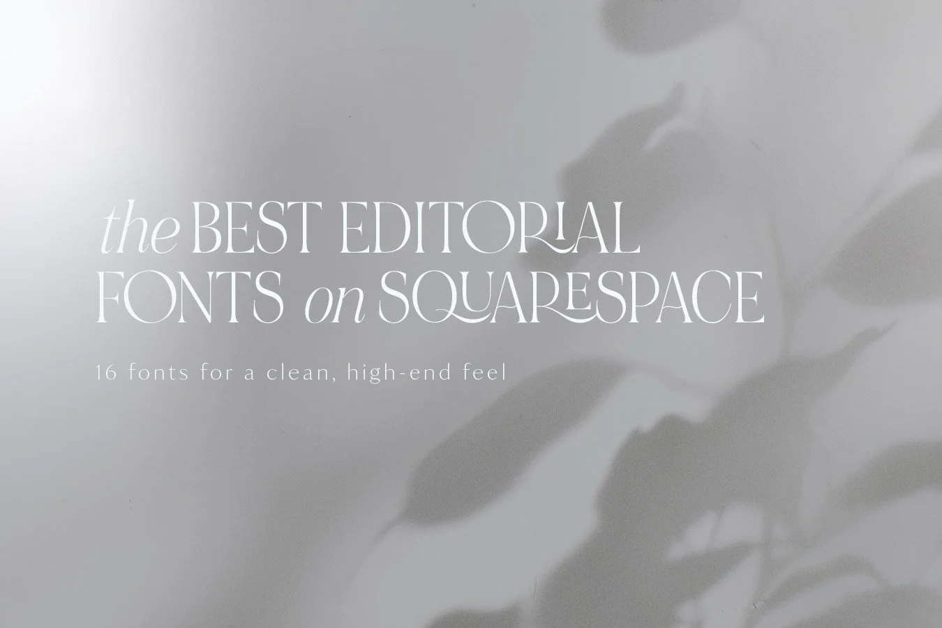 The BEST Editorial Squarespace Fonts 2022 — Magdalene Design Co.