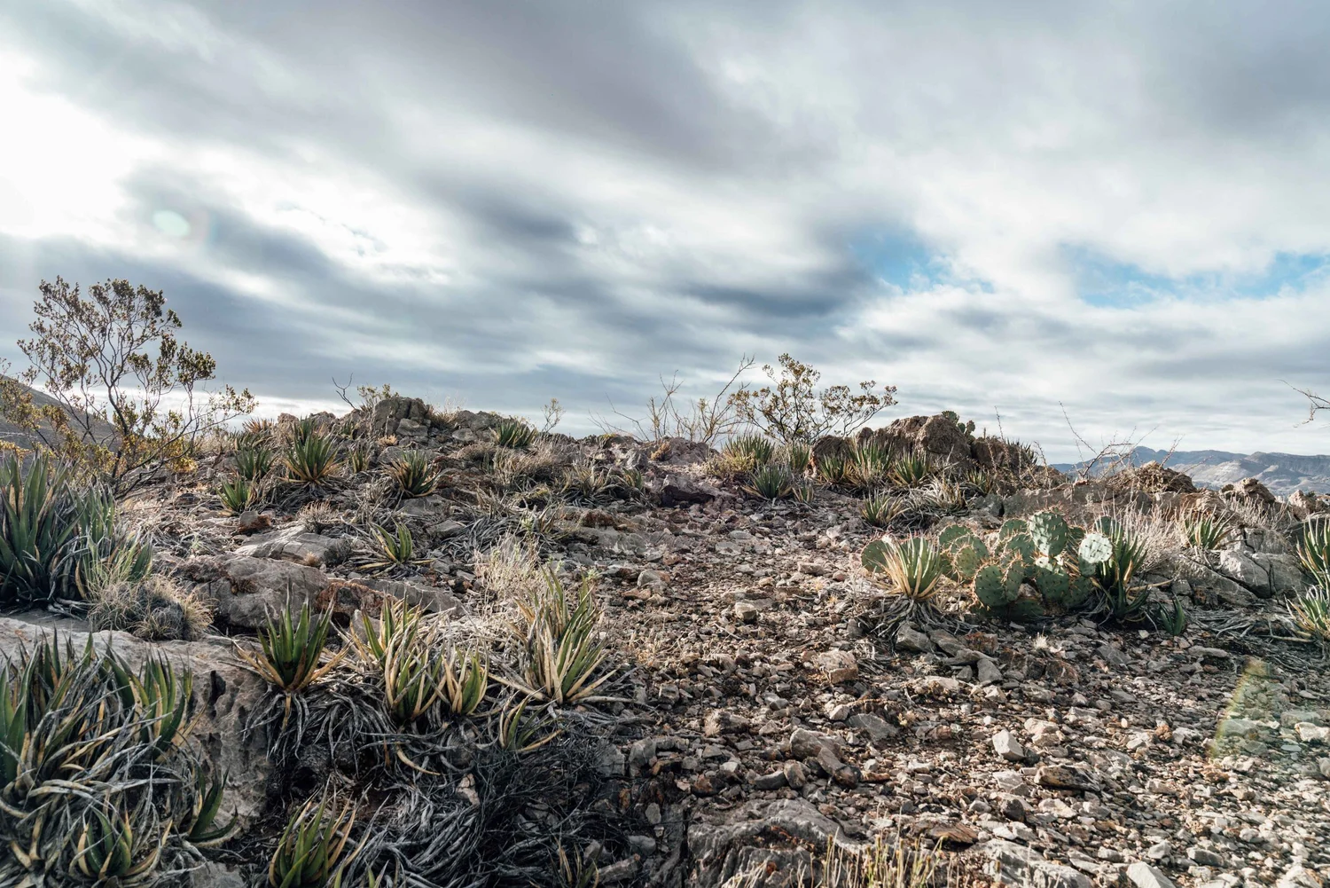 About Us — Frontera Land Alliance