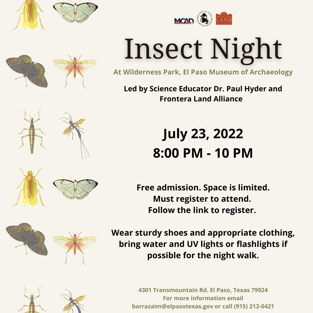 Noche de Insectos/ Insect Night — The Frontera Land Alliance