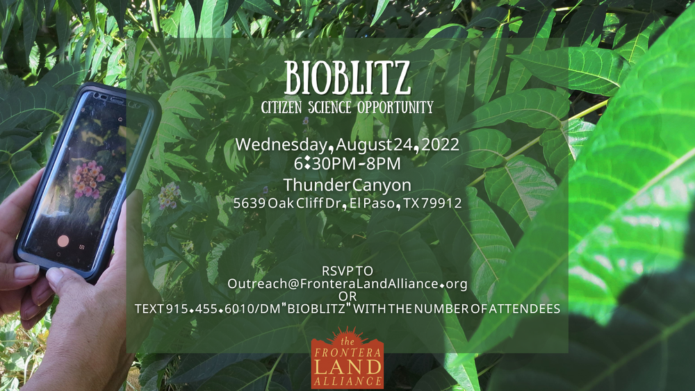 BioBlitz — Frontera Land Alliance