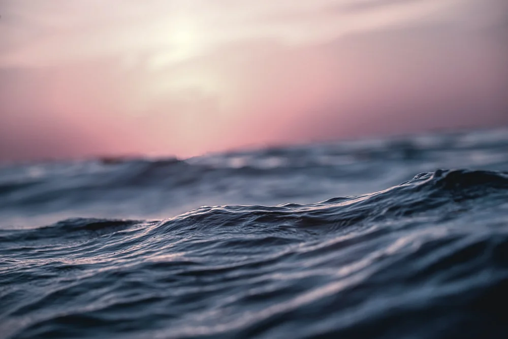 Reviews — Ms Fiona