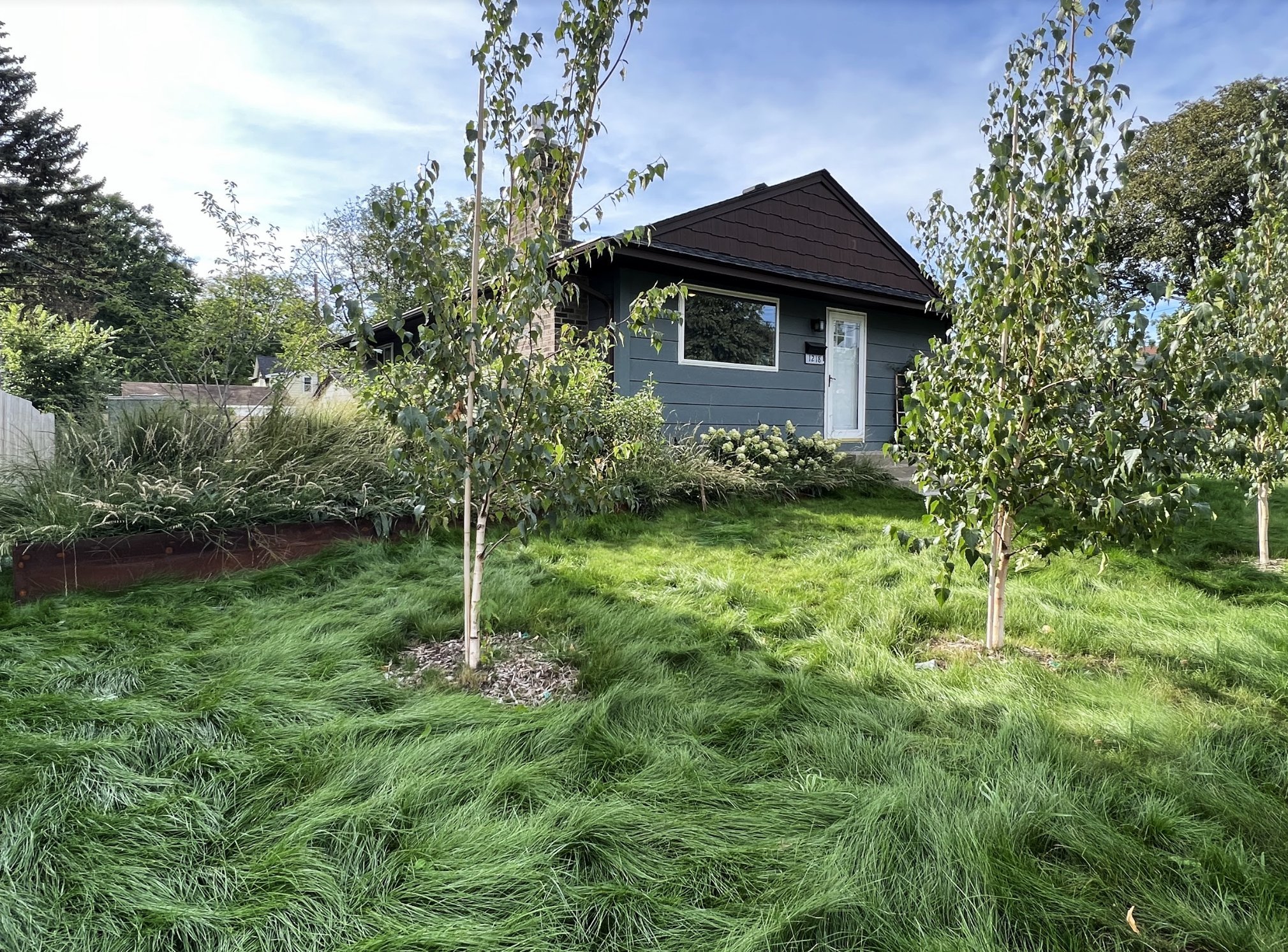 NELO - Northeast Landscape Office