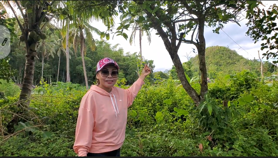 Stop all wars, let’s all regenerate the Earth instead — Marivir R. Montebon