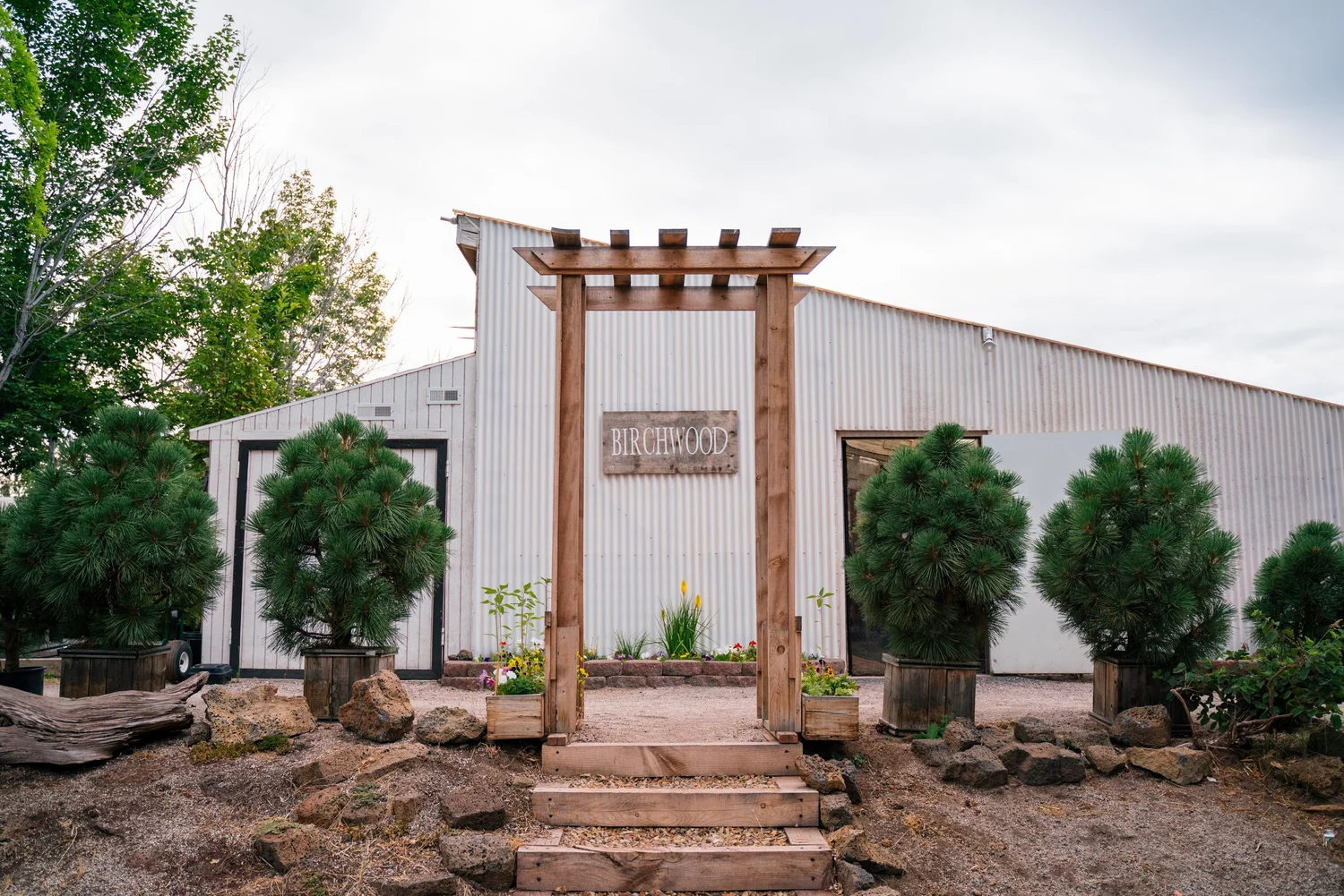 Trees & Shrubs | Enhance Your Landscape – Shop Now — Schilling's Garden ...