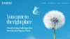 Why Therapists Don’t Need a Logo (and How Minimalist Branding Can Be ...