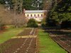 Walking Tracks — Emerald Museum and Nobelius Heritage Park