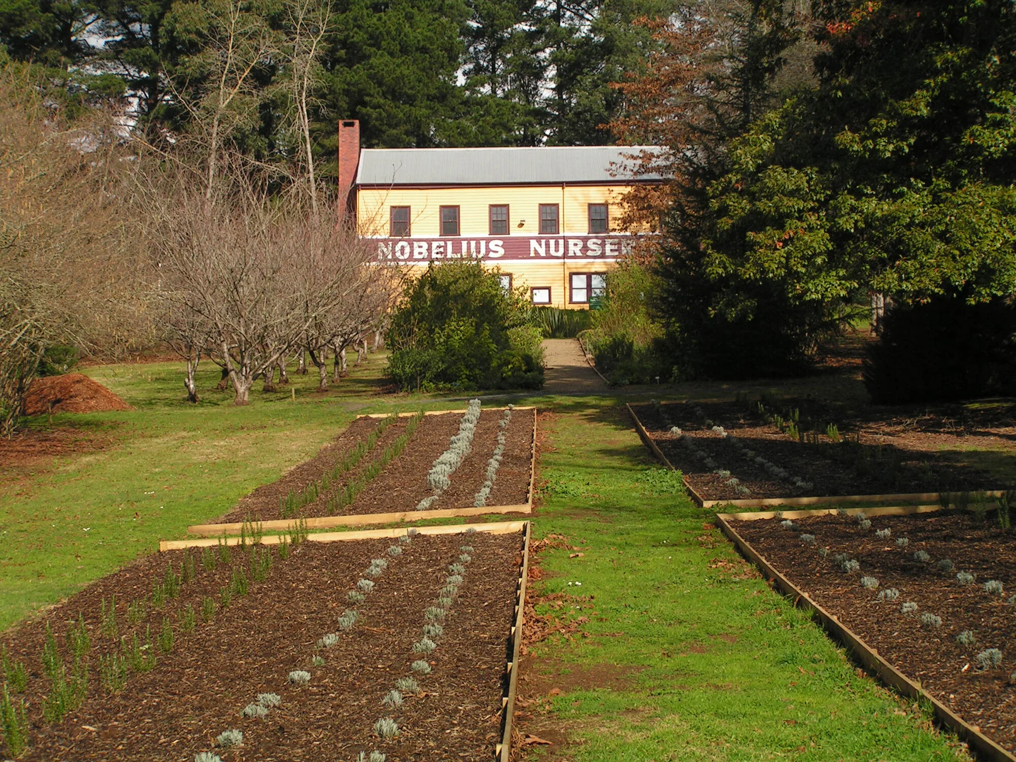 Walking Tracks — Emerald Museum and Nobelius Heritage Park