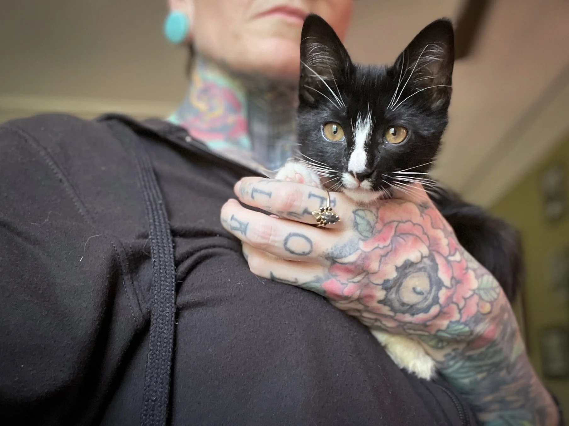 Meet Lil Kim — Lucky Cats Rescue