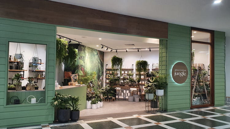 Green Indoor Jungle | Indoor Plants and Terrariums Melbourne