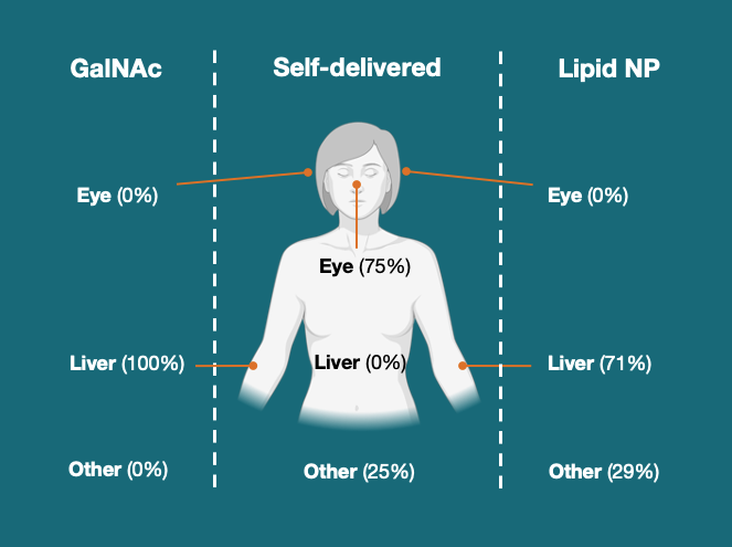 siRNA Therapies: The Need For Better Delivery Systems — Sixfold.