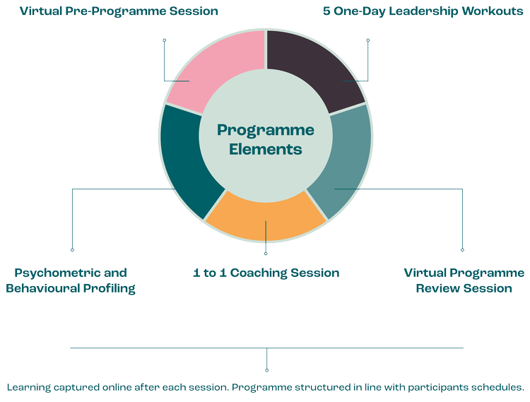 Pivot Programme - Feb 2025 — Below The Line