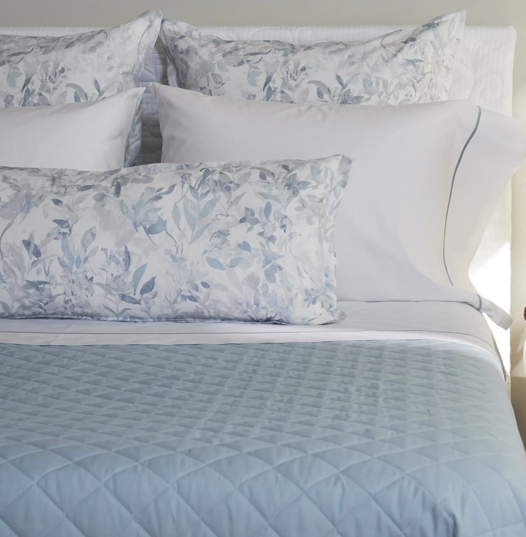 Collection — STAMATTINA